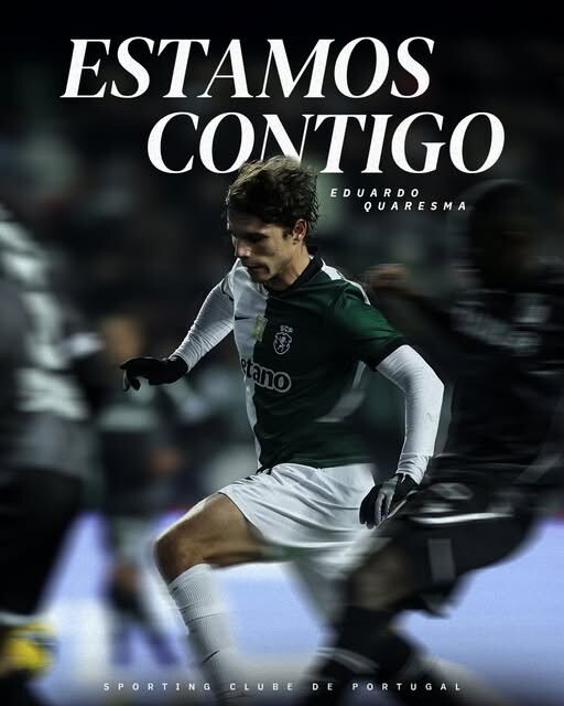 Força, Leão! - Camarote Leonino