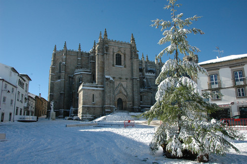 Neve na Guarda - MARMELEIRO